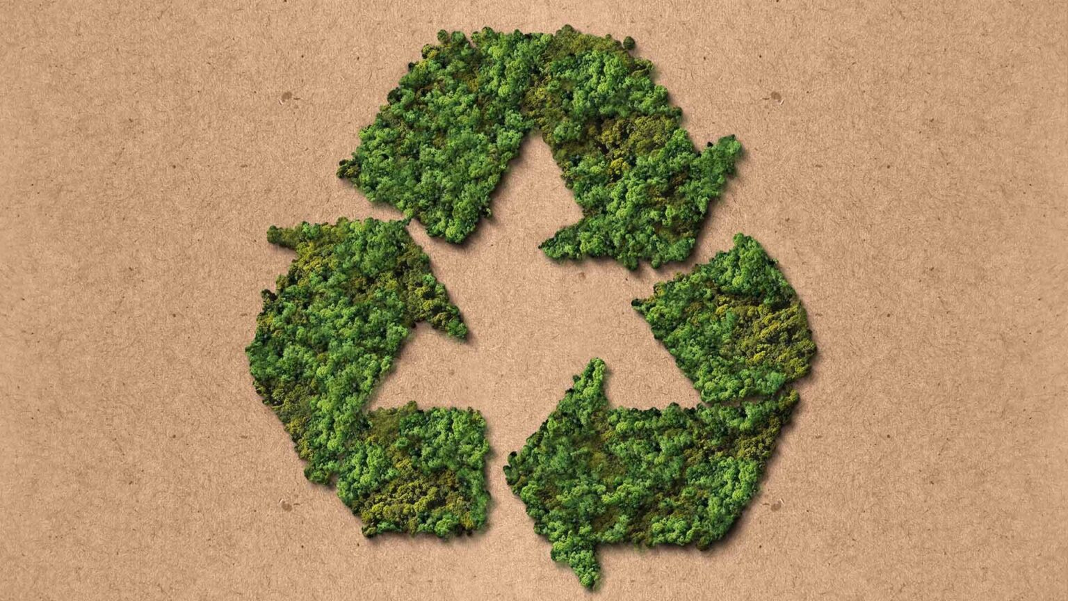 Paper Boss | Sustainable Packaging & Shipping Supplies Australia