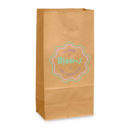 Custom Print Small Paper Lunch Bags - Paper Boss